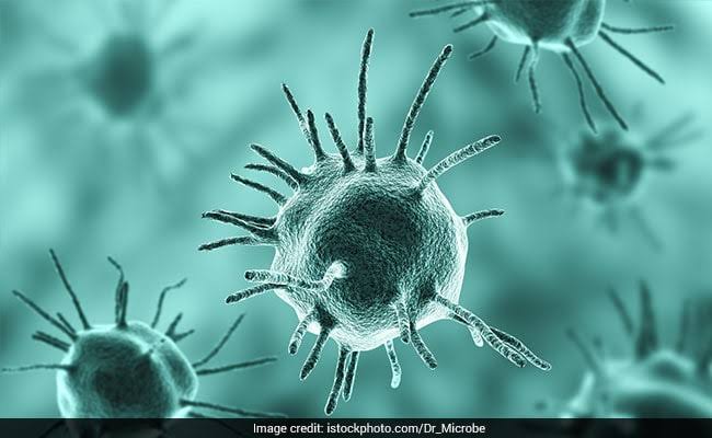 Amoebiasis - Symptoms, Diagnosis and Treatment