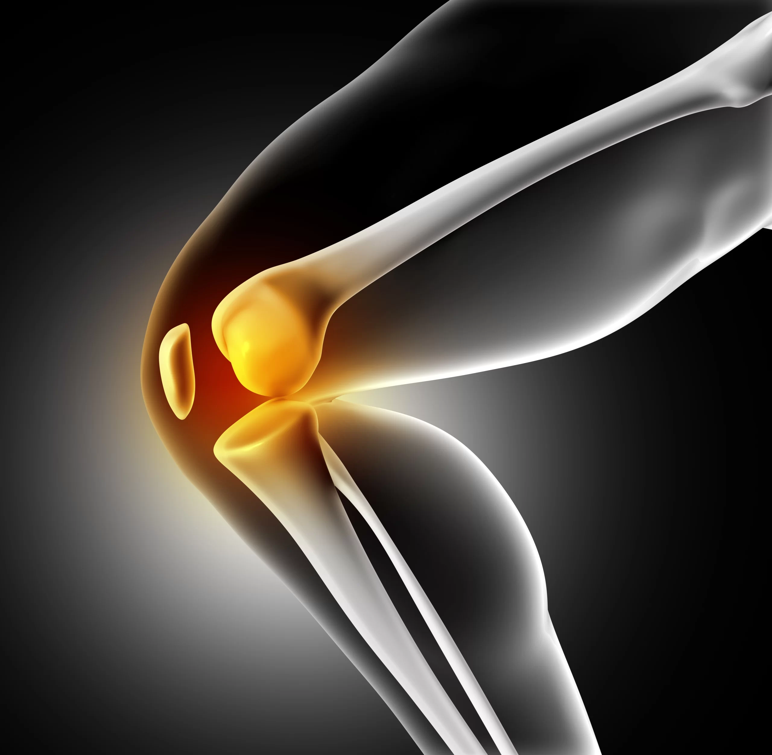 Innovative Ceramic Knee Replacement System Launched